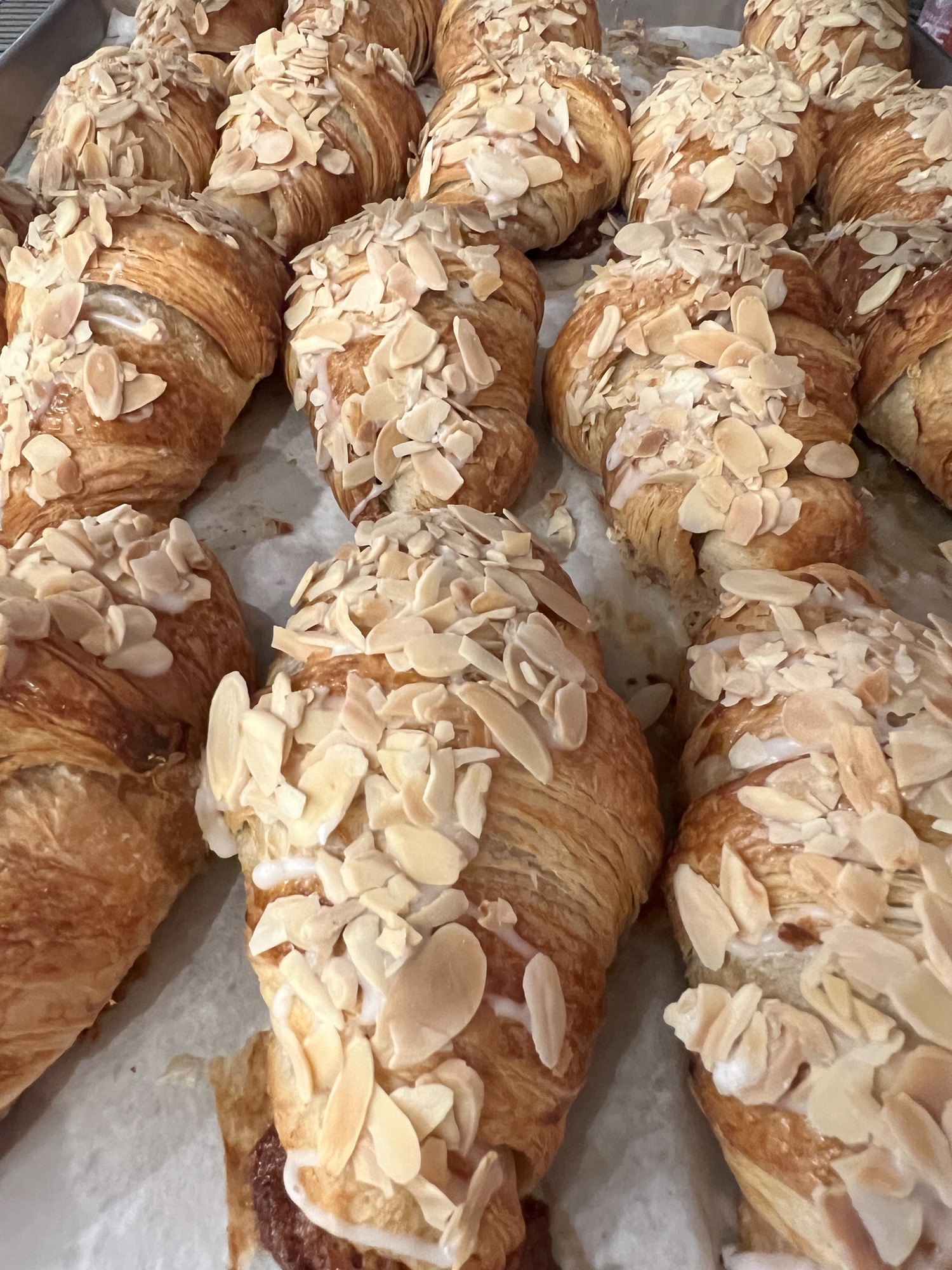 WOODEN BAKERY, WORCESTER MA – Wooden Coop